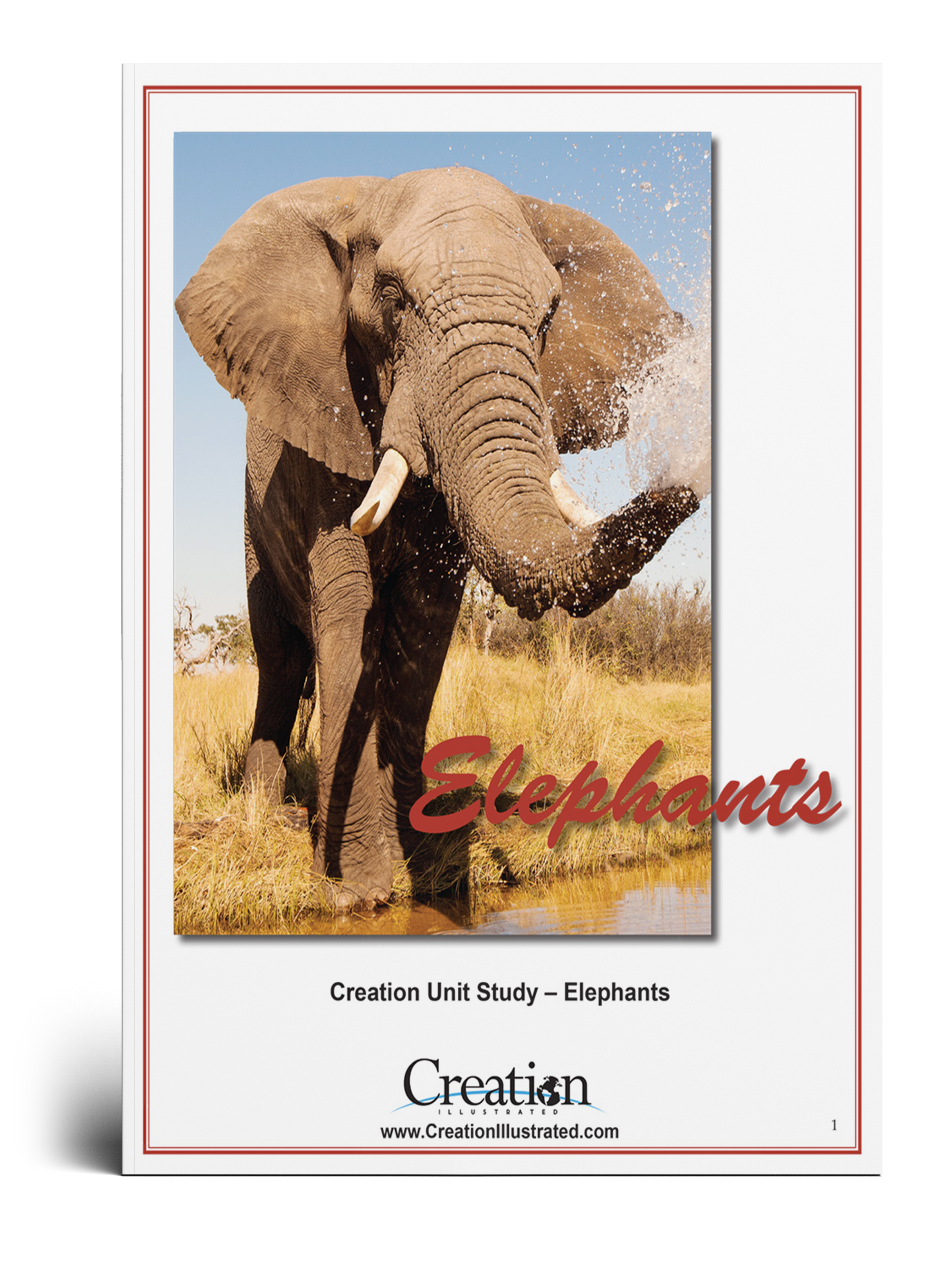 Elephant Unit Study – Creation Illustrated