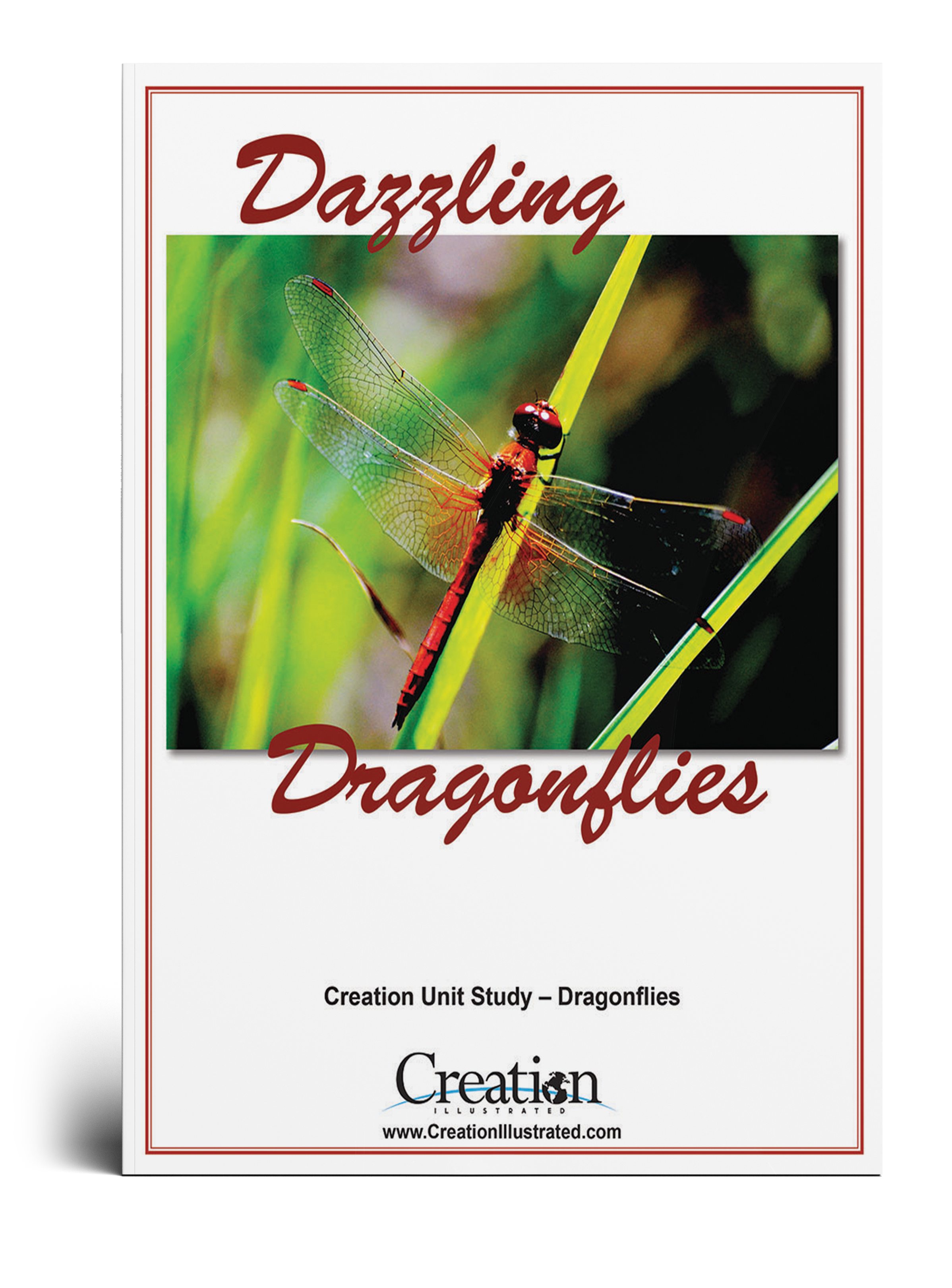 Dragonflies Unit Study – Creation Illustrated