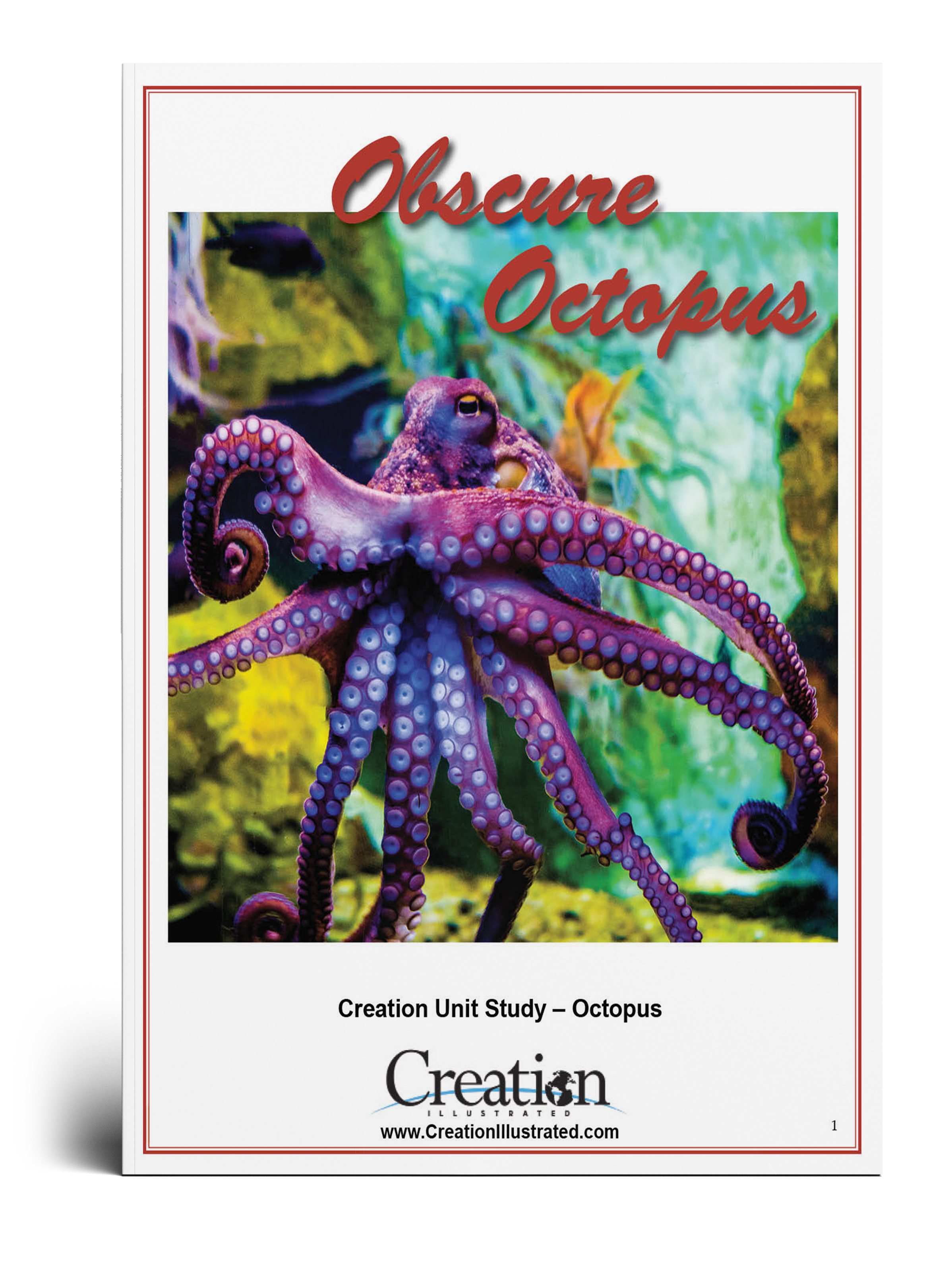 Octopus Unit Study – Creation Illustrated